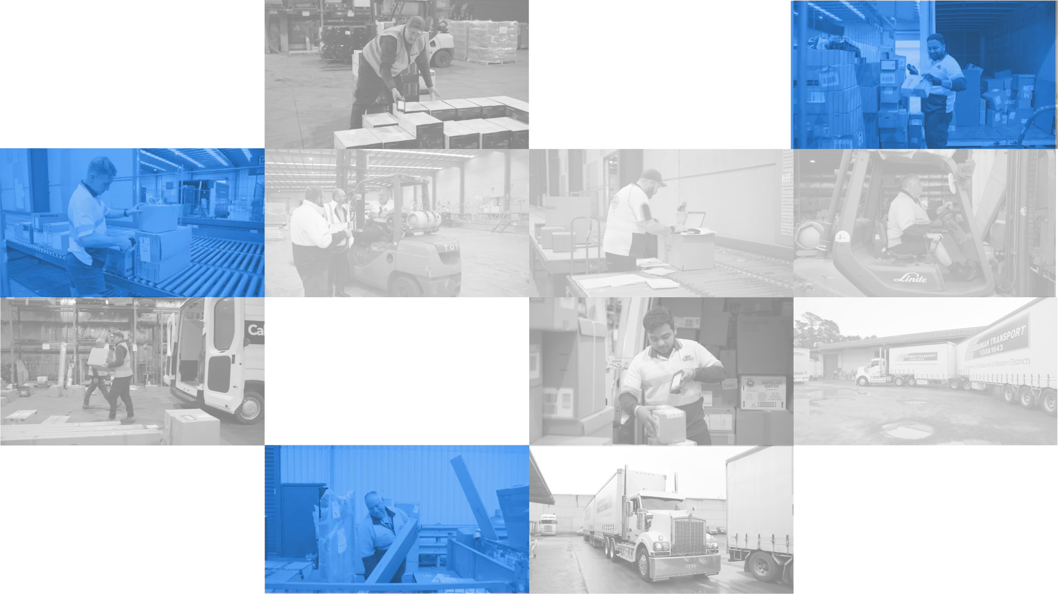 Delivery Management Software - Parcel Management System - TransVirtual