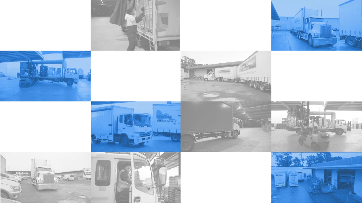 Fleet Management Software - Vehicle Management System - TransVirtual